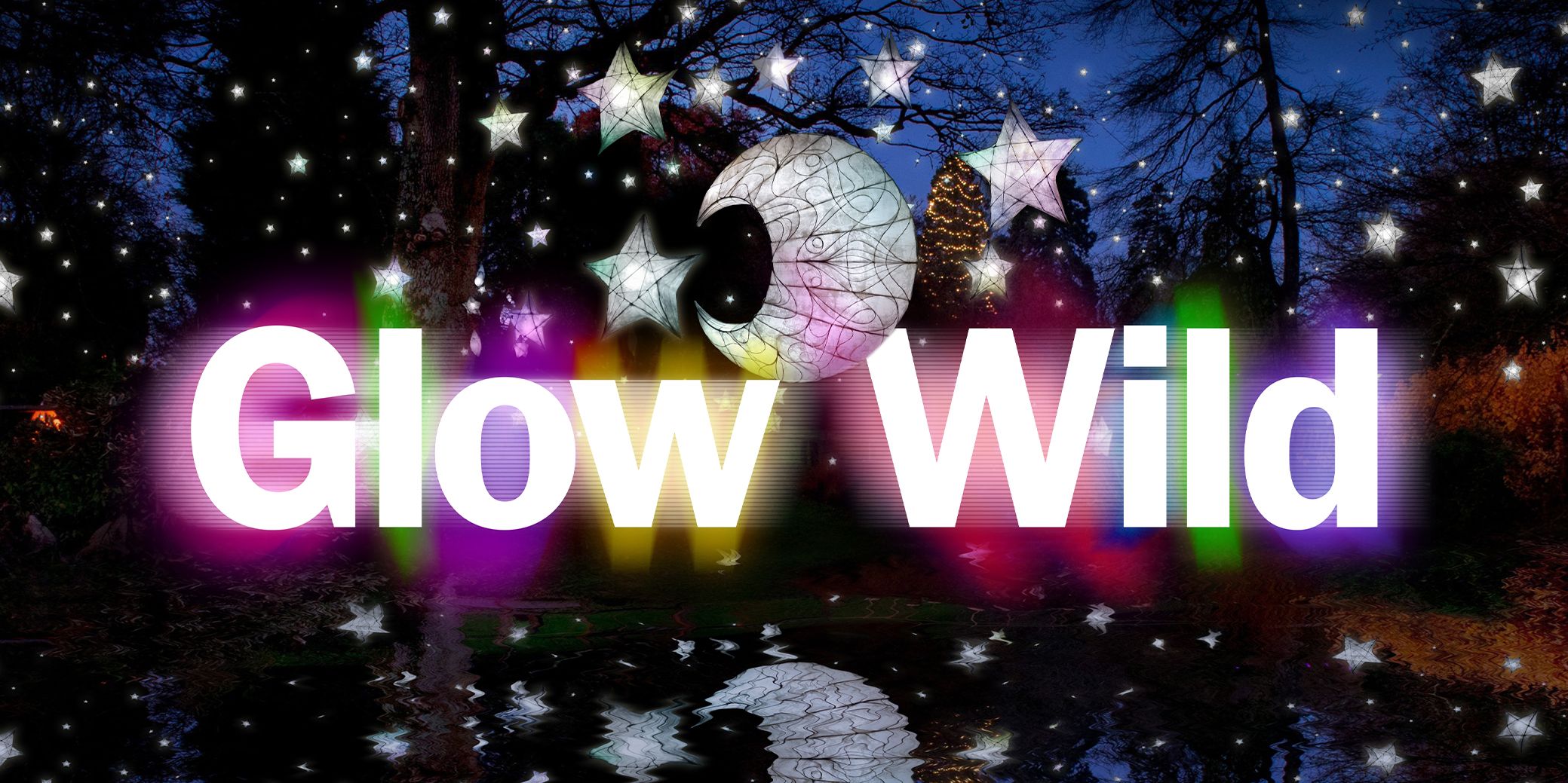 Glow Wild 10th Anniversary - Brighton & Hove Buses